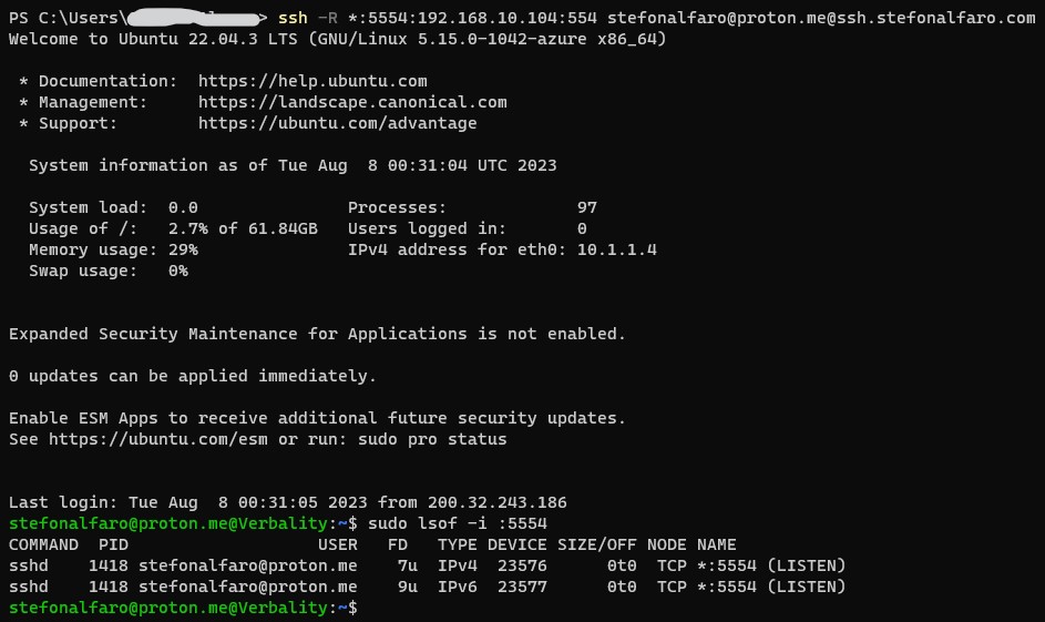 Reverse SSH Proxying: A Nostalgic Journey – Research and Development